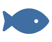 Zip String - Shark Tank Update 2025