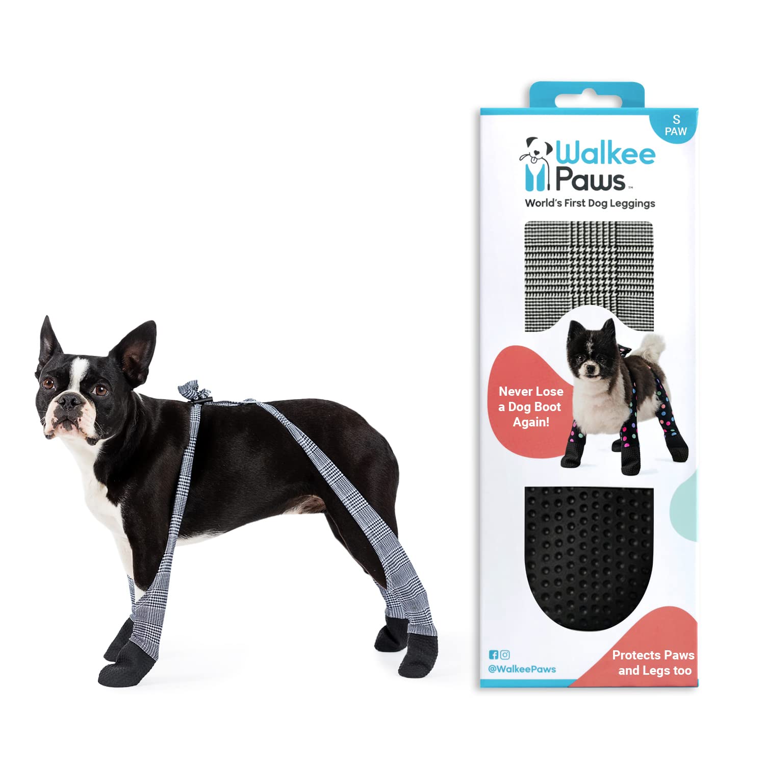 Walkee Paws - Shark Tank Update 2026